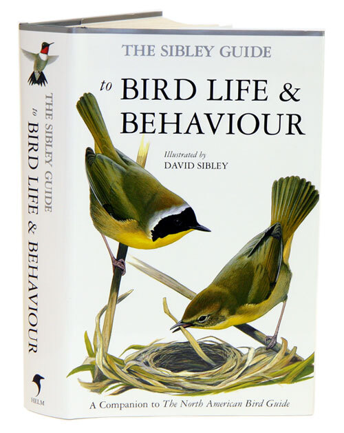 The Sibley guide to bird life and behaviour | David Sibley