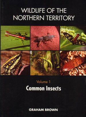 Wildlife of the Northern Territory: volume one, common insects | Graham ...